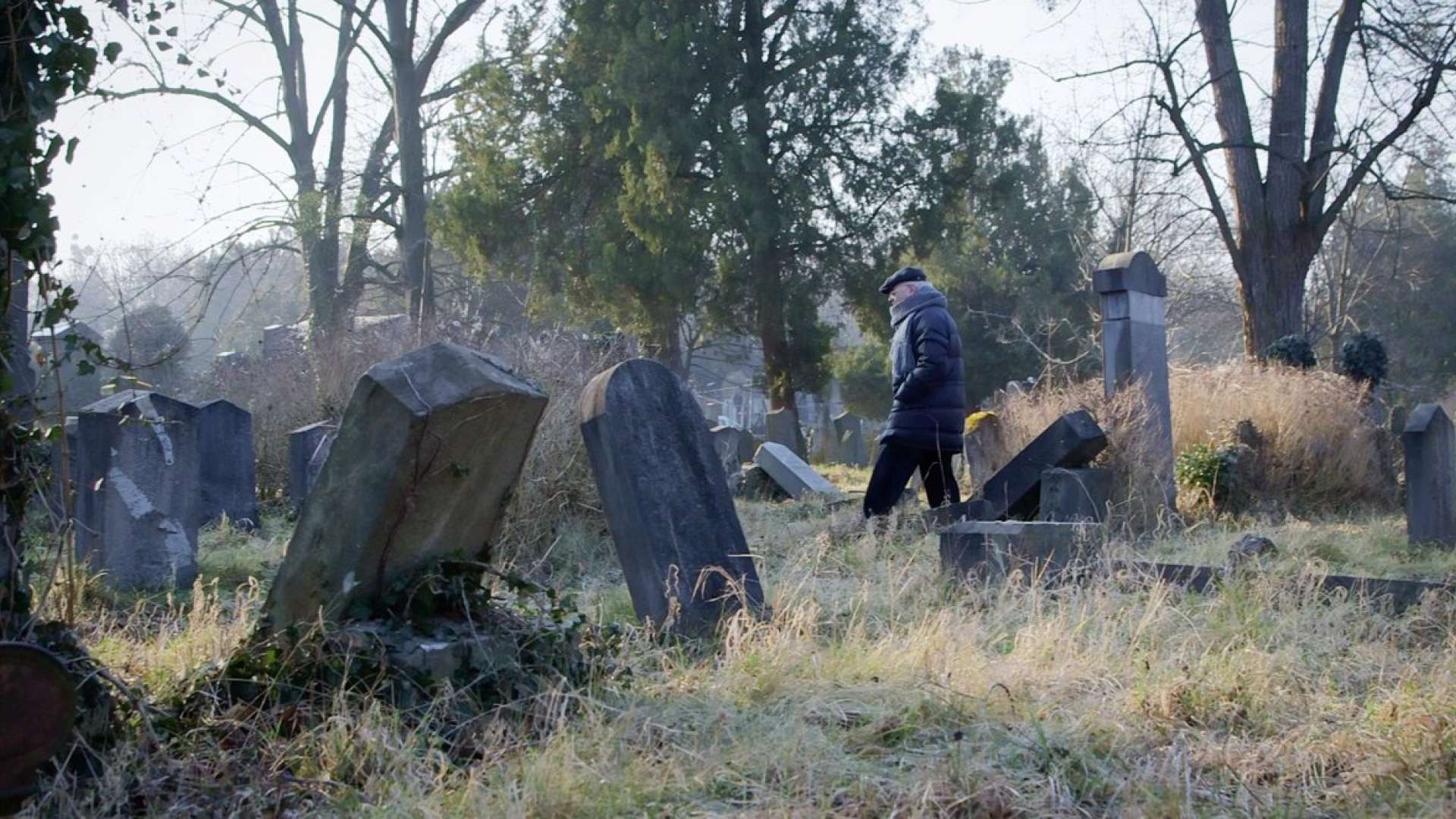 Vienne avant la nuit, de Robert Bober | Les Rendez-vous de l'histoire