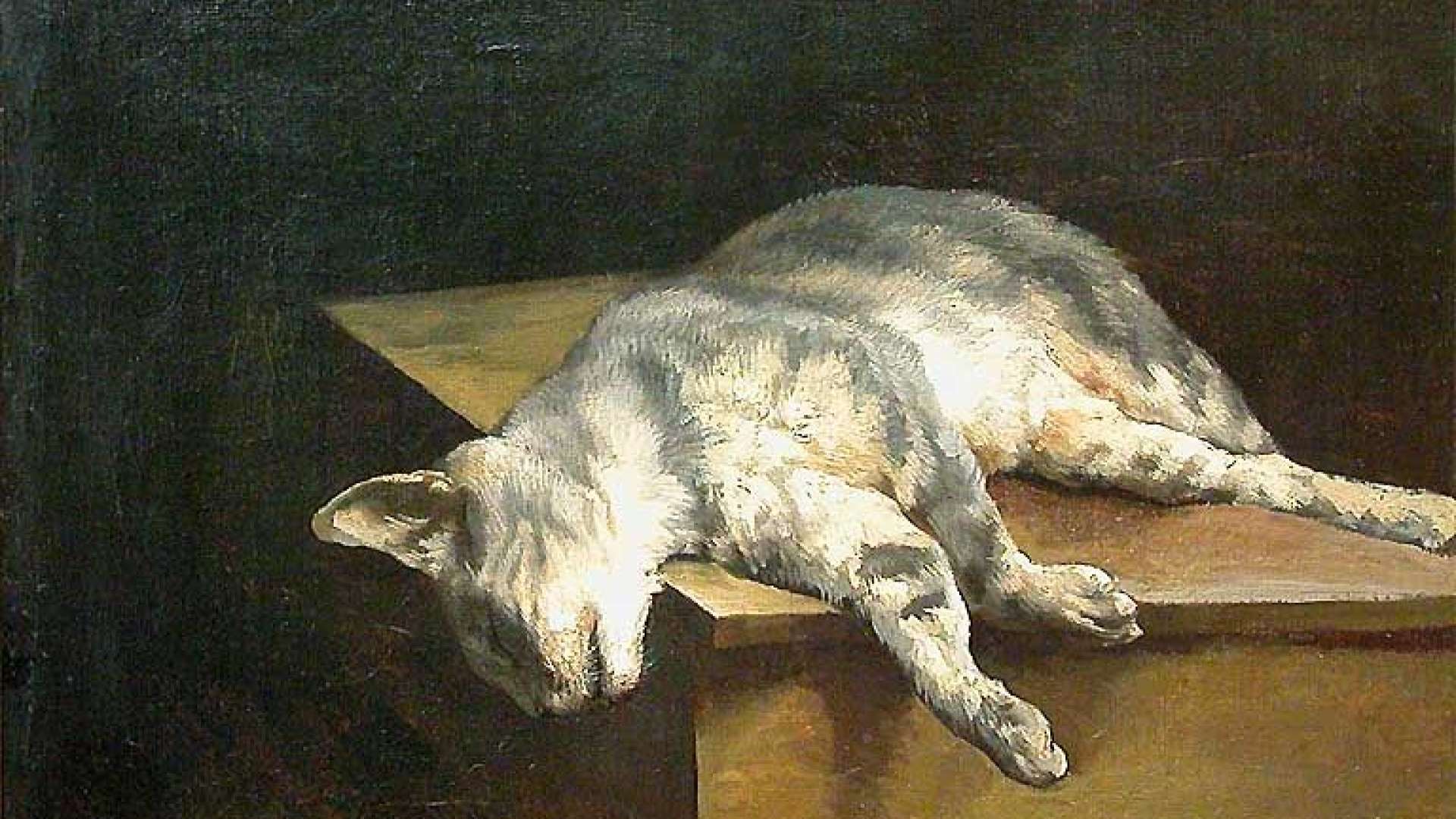 Mourir comme des bêtes | Les Rendez-vous de l'histoire