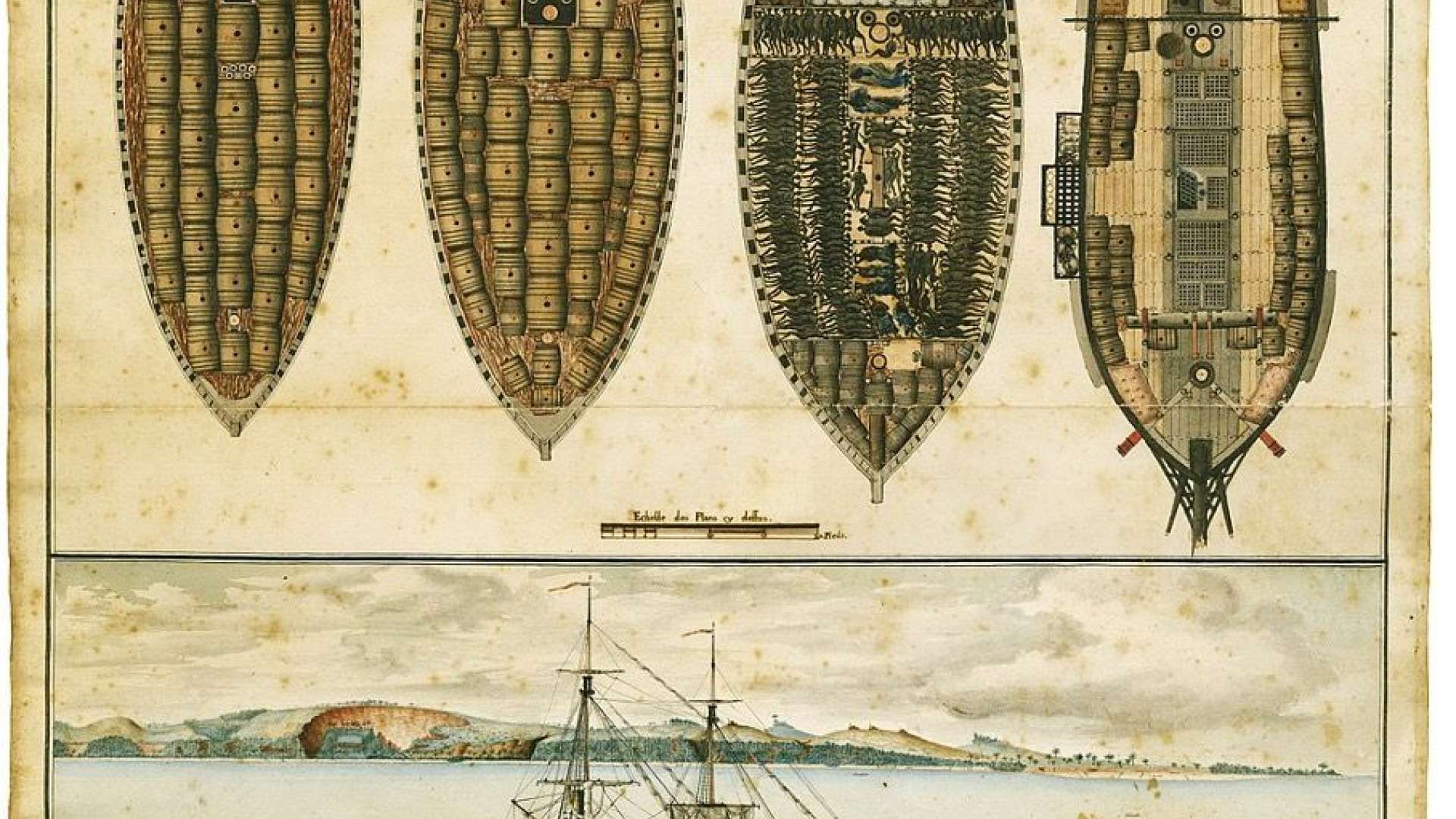 Enseigner le commerce atlantique des esclaves avec l'Encyclopédie d ...